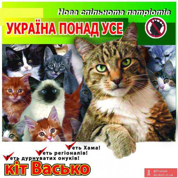"Ми - За КОТА! Хто не з нами - той з ПР". Велика підбірка "котячих ...